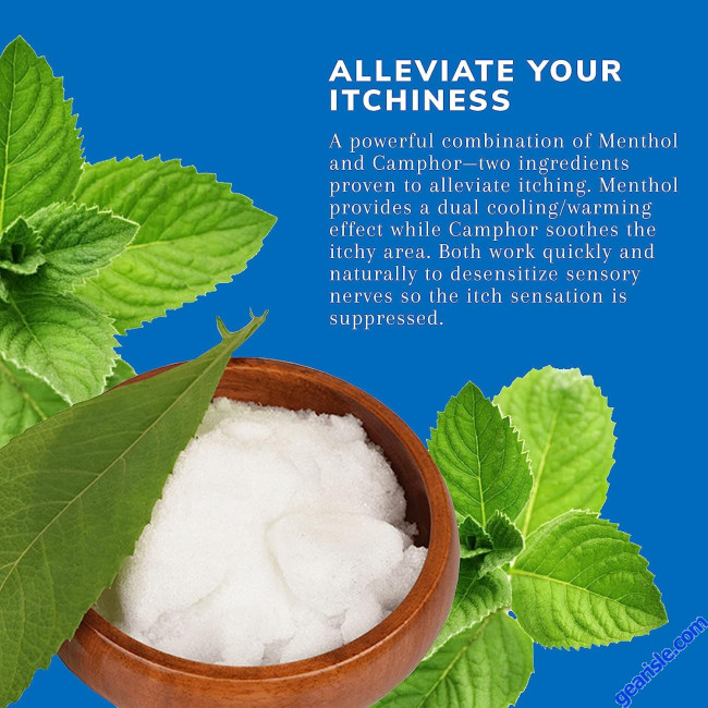 Buy Anti Itch Cream Natural Menthol 1 Oz No Parabens Earth's Care