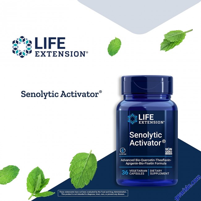Life Extension Senolytic Activator 36 Veggie Caps Immune Support